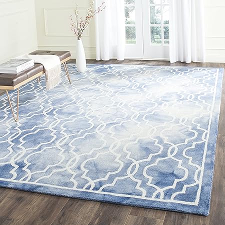 Amazon.com: SAFAVIEH Dip Dye Collection 9' x 12' Ivory/Blue DDY679A ...