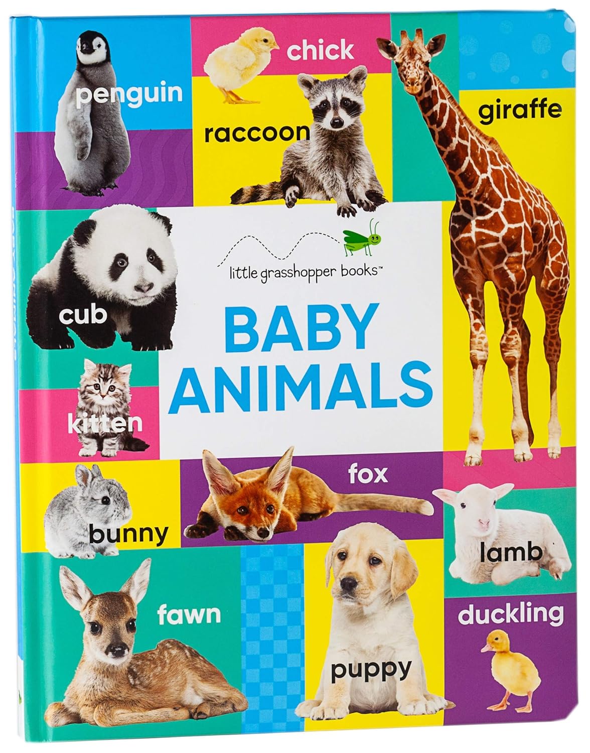Amazon.com: Early Learning - Baby Animals (Book & Downloadable App ...