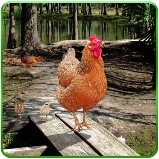 Hen Family Simulator - App on Amazon Appstore