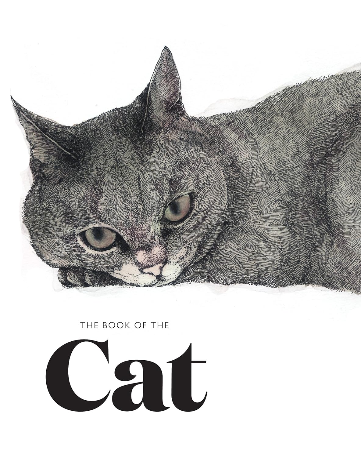 The Book of the Cat: Cats in Art: Hyland, Angus, Roberts, Caroline ...