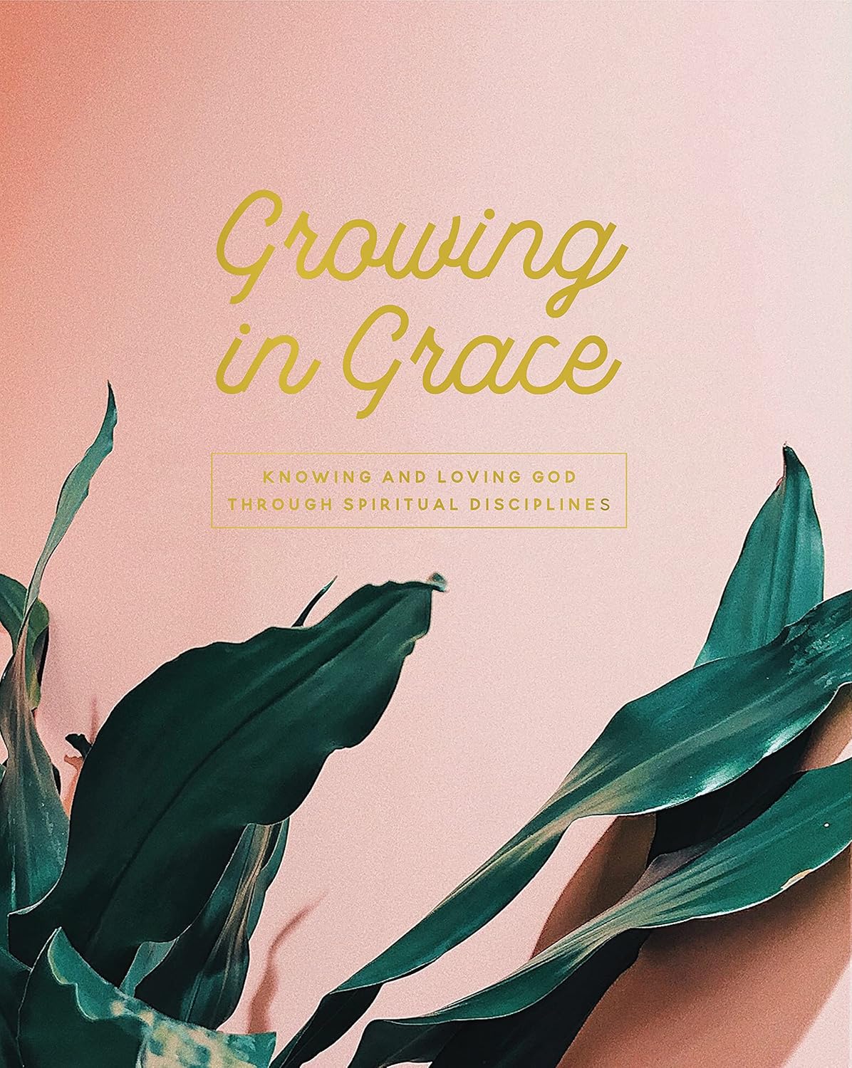 Growing in Grace: Knowing and Loving God Through Spiritual Disciplines ...