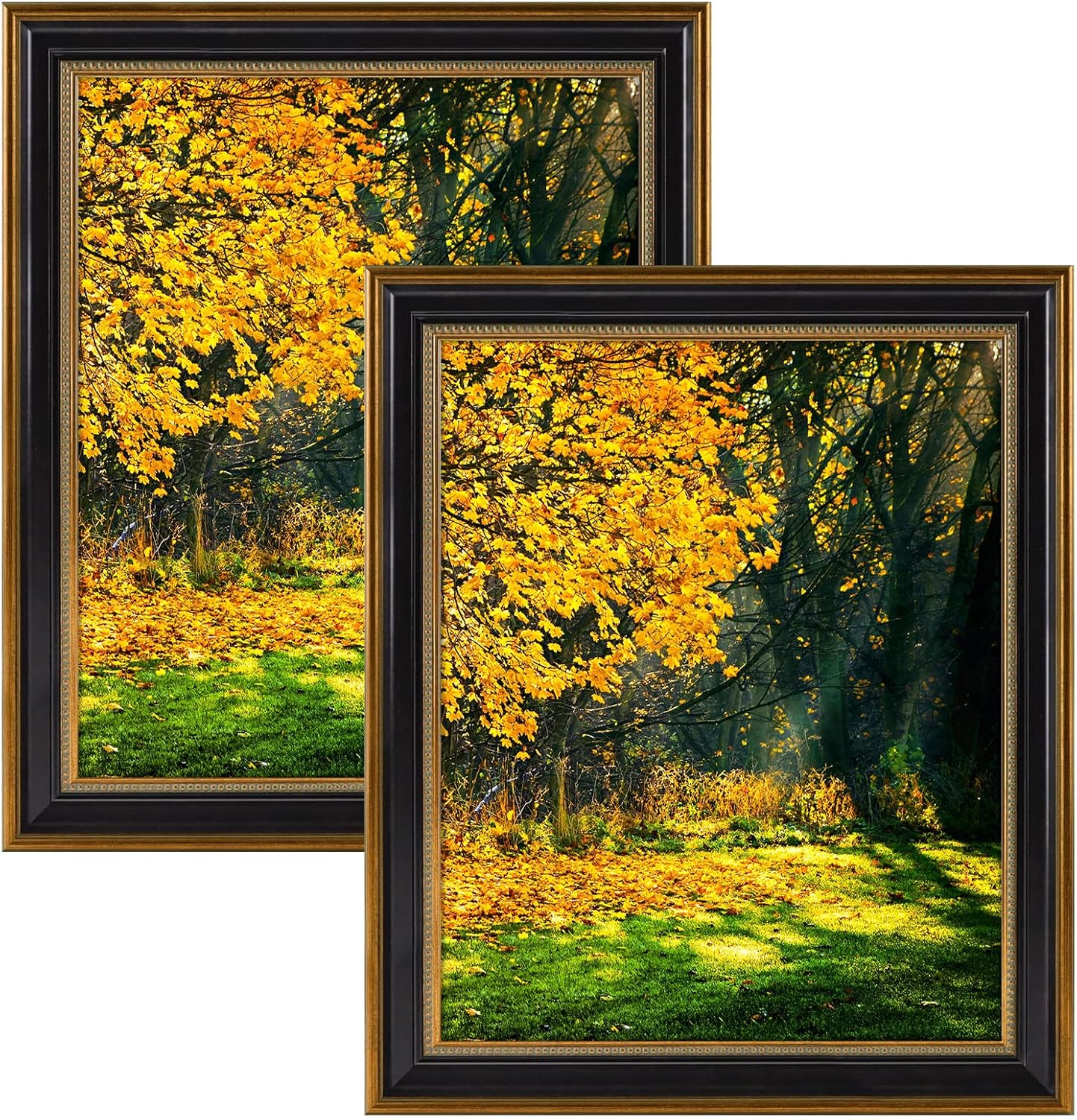 Amazon.com - Space Art Deco, 16x20 Picture Frame without Mat for 16x20 ...