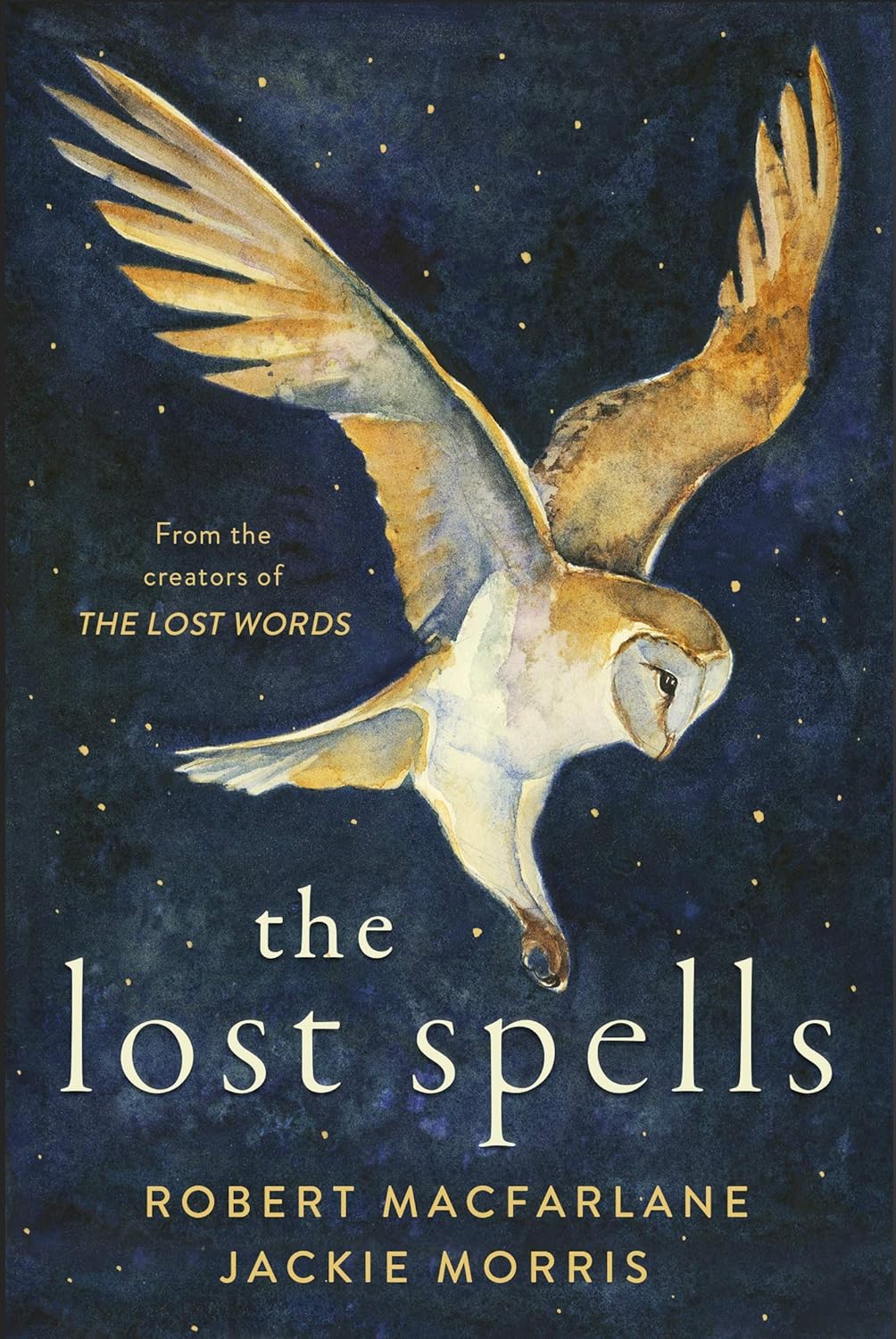 The Lost Spells: Macfarlane, Robert, Morris, Jackie: 9780241444641 ...