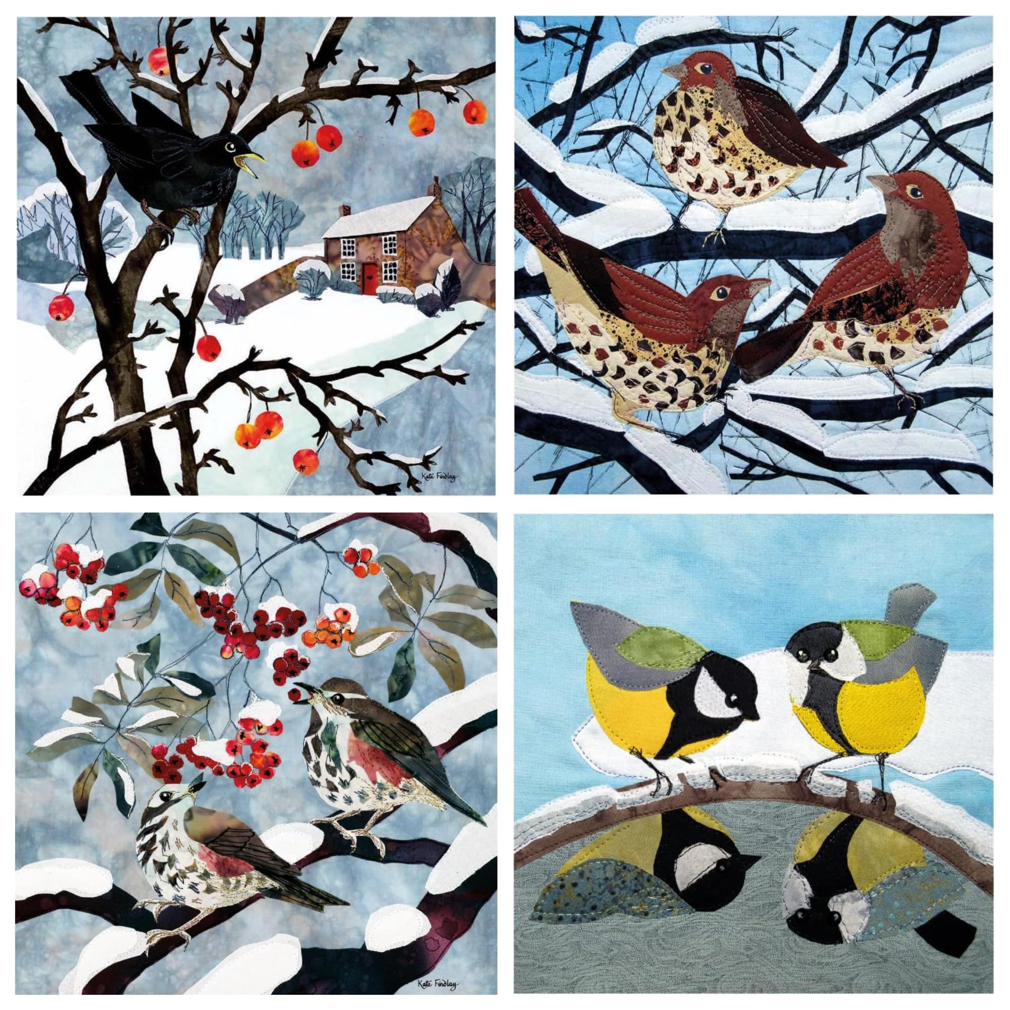 Museums & Galleries Kate Findlay Frosty Feathers Winter Birds Pack of ...