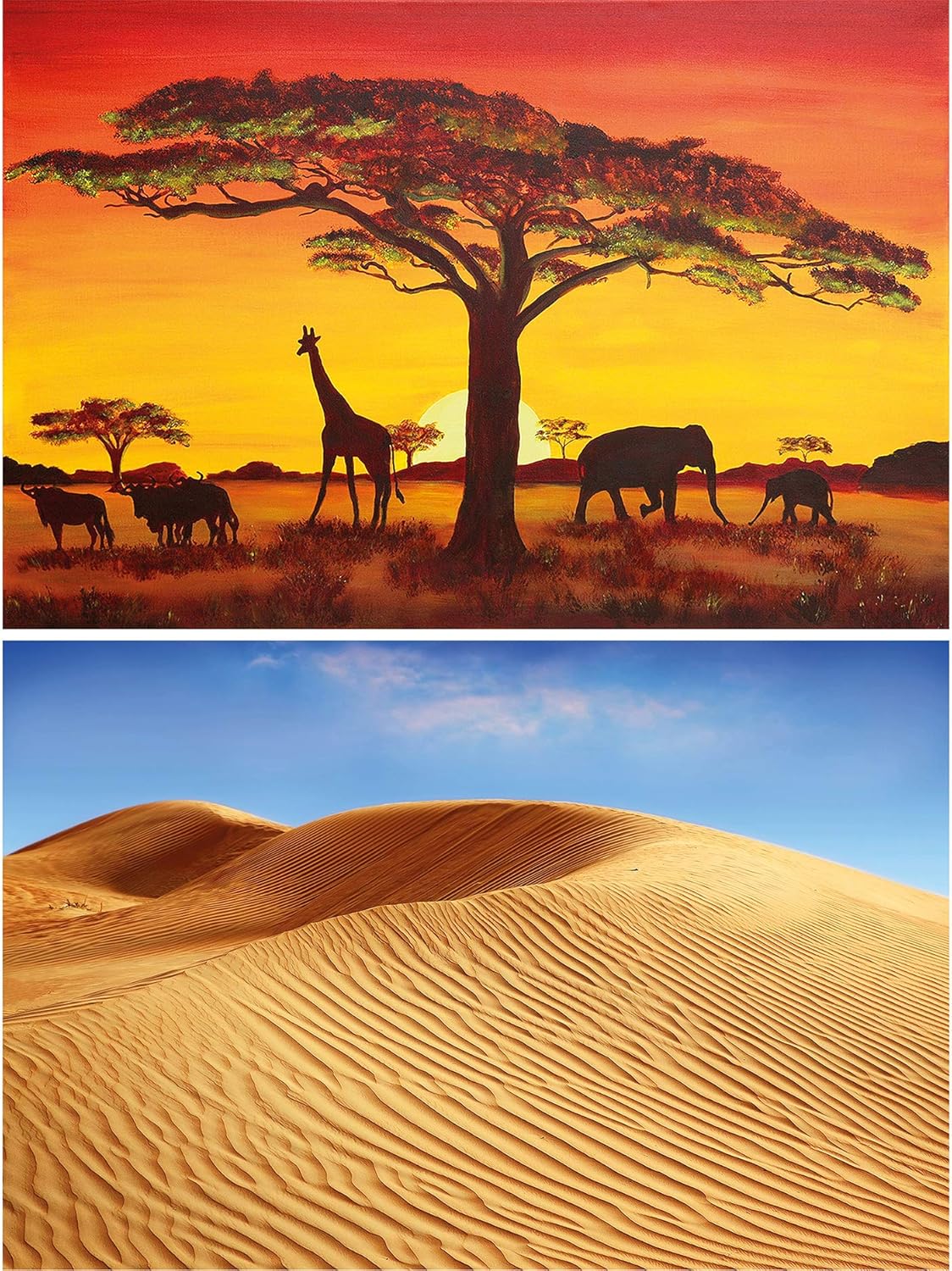 Amazon.com: GREAT ART Set of 2 XXL Posters - African Landscapes - Each ...