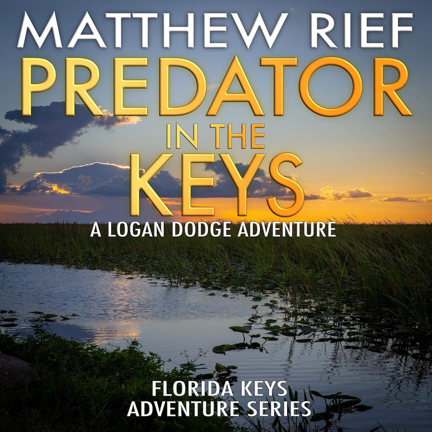 Amazon.com: Predator in the Keys: A Logan Dodge Adventure: Florida Keys ...