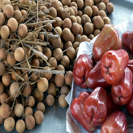 Uragon - App on Amazon Appstore