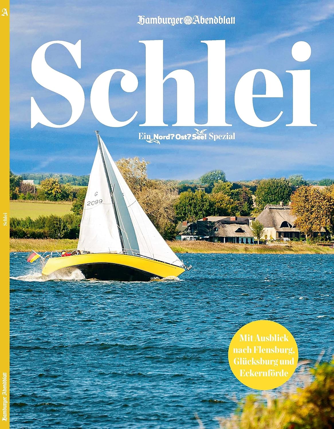 Amazon.com: Schlei: 9783958561106: Unknown: Books