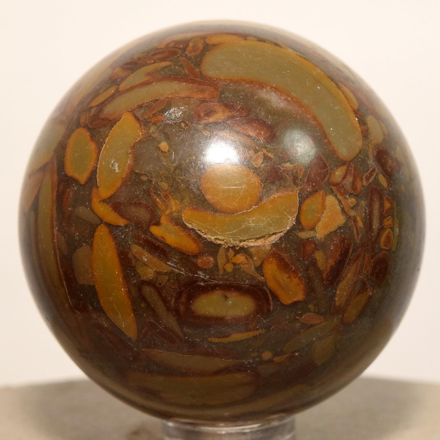 Amazon.com: HQRP 47mm Bamboo Jasper Sphere Picture Jasper Crystal Ball ...