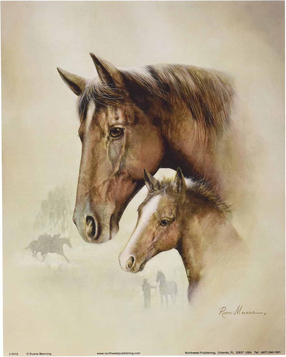 Amazon.com: 4 Horse Art Prints Mare Pictures Foal Posters Home Decor ...