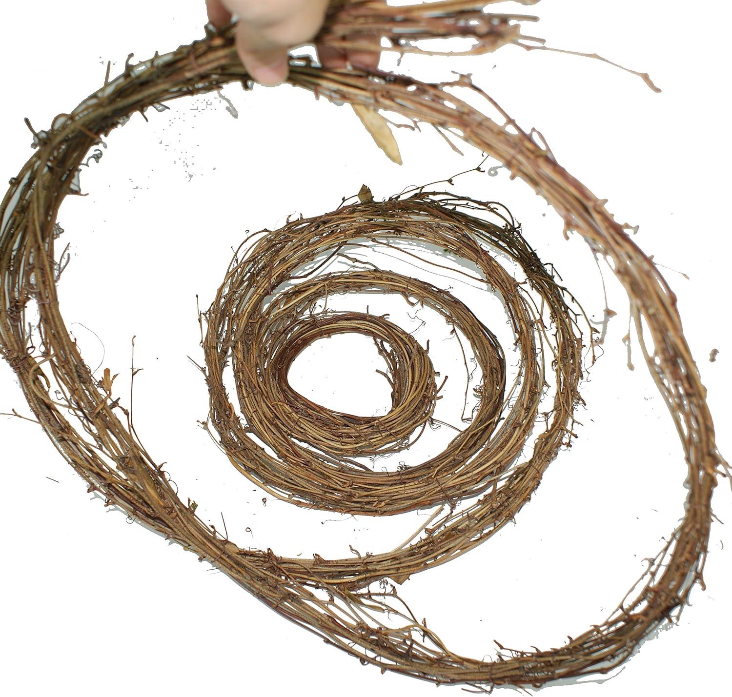 Amazon.com: Forevercute 2pcs 12 Ft Roll of Natural Dried Grapevine ...