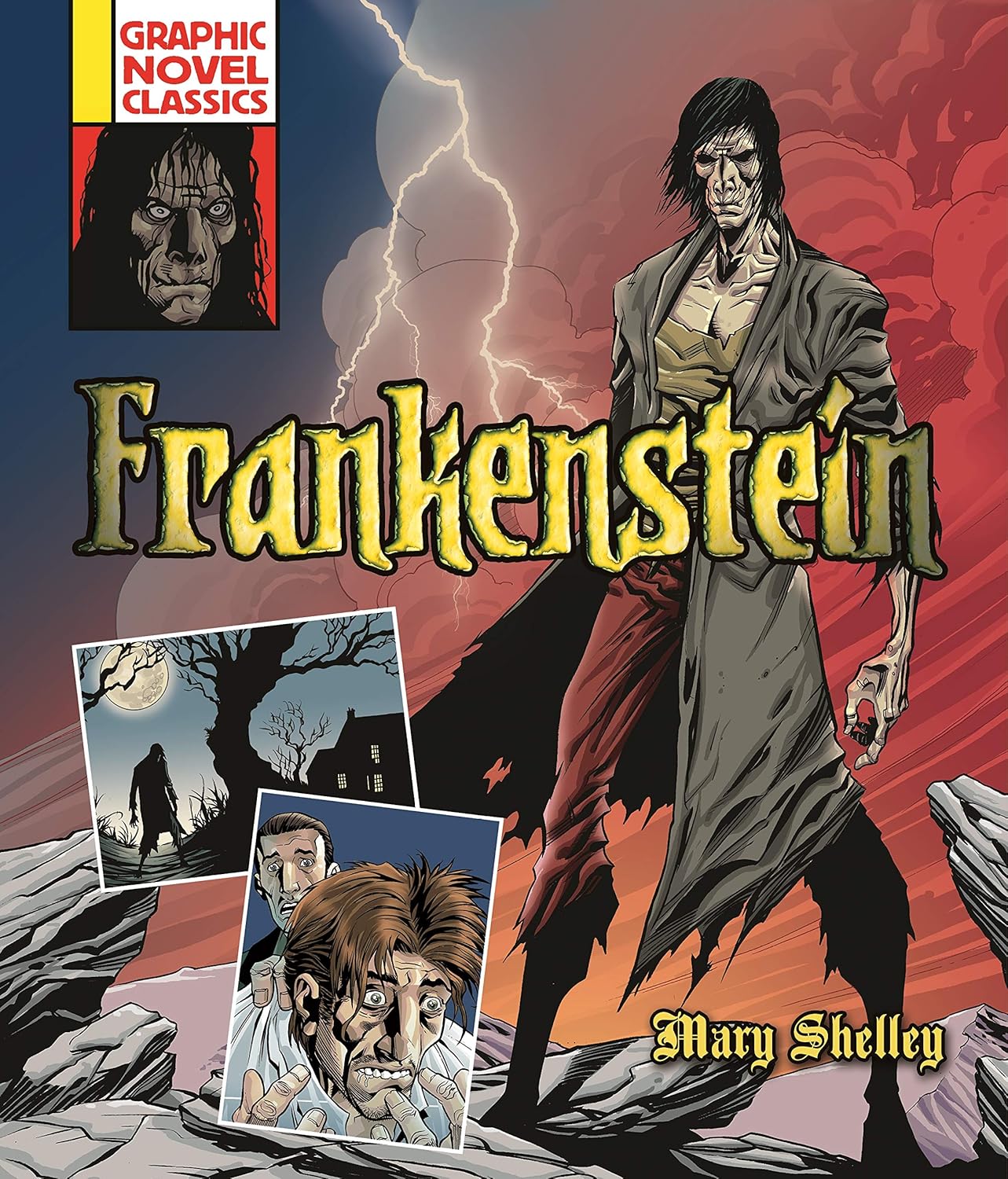 Frankenstein: Graphic Novel Classics: Shelley, Mary: 9781784043568 ...