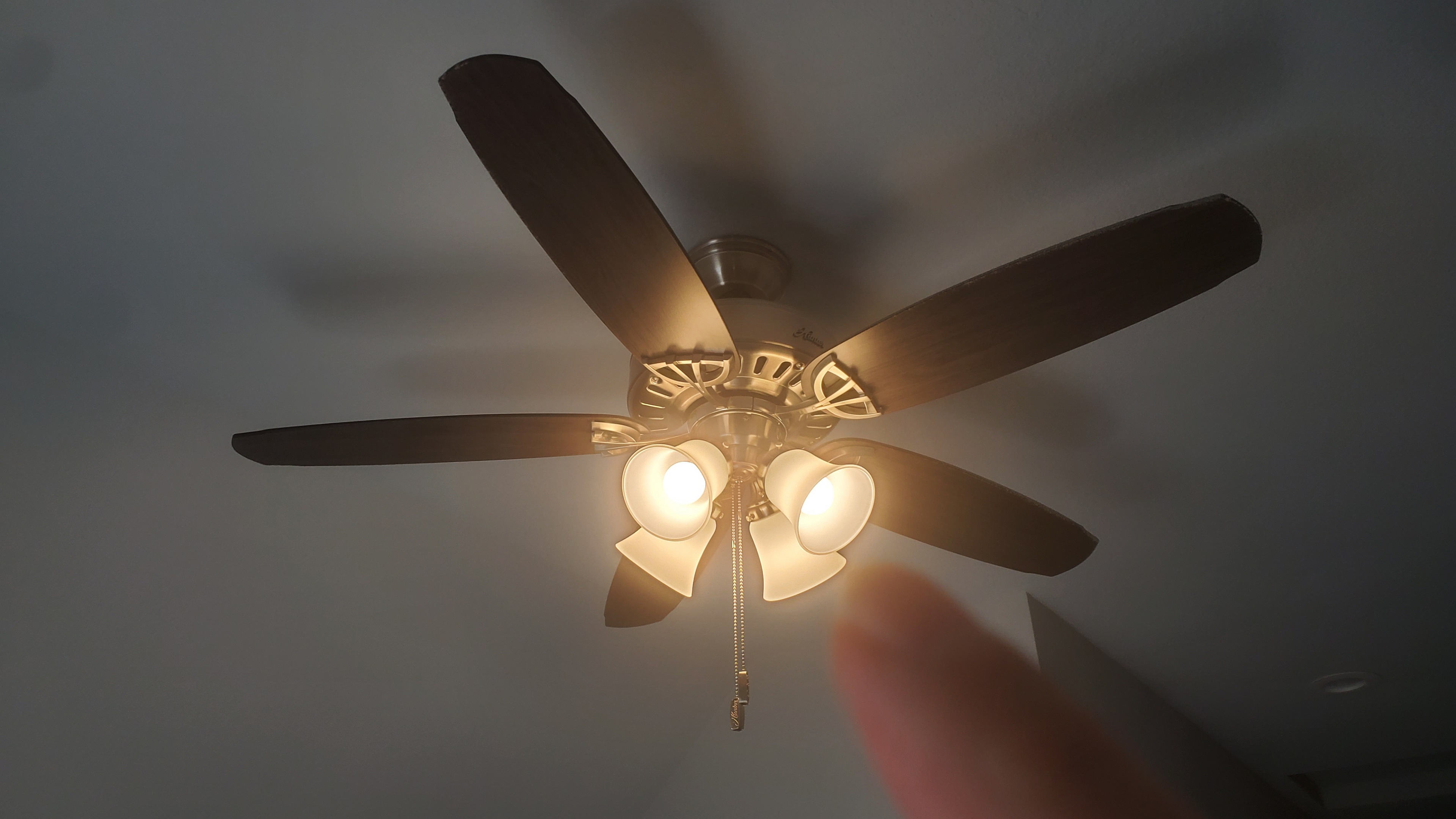 Watch Honest review on Hunter Ceiling Fan on Amazon Live