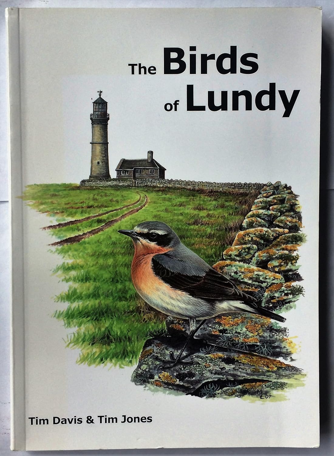 The Birds of Lundy: Davis, Tim; Jones, Tim: 9780954008871: Amazon.com ...