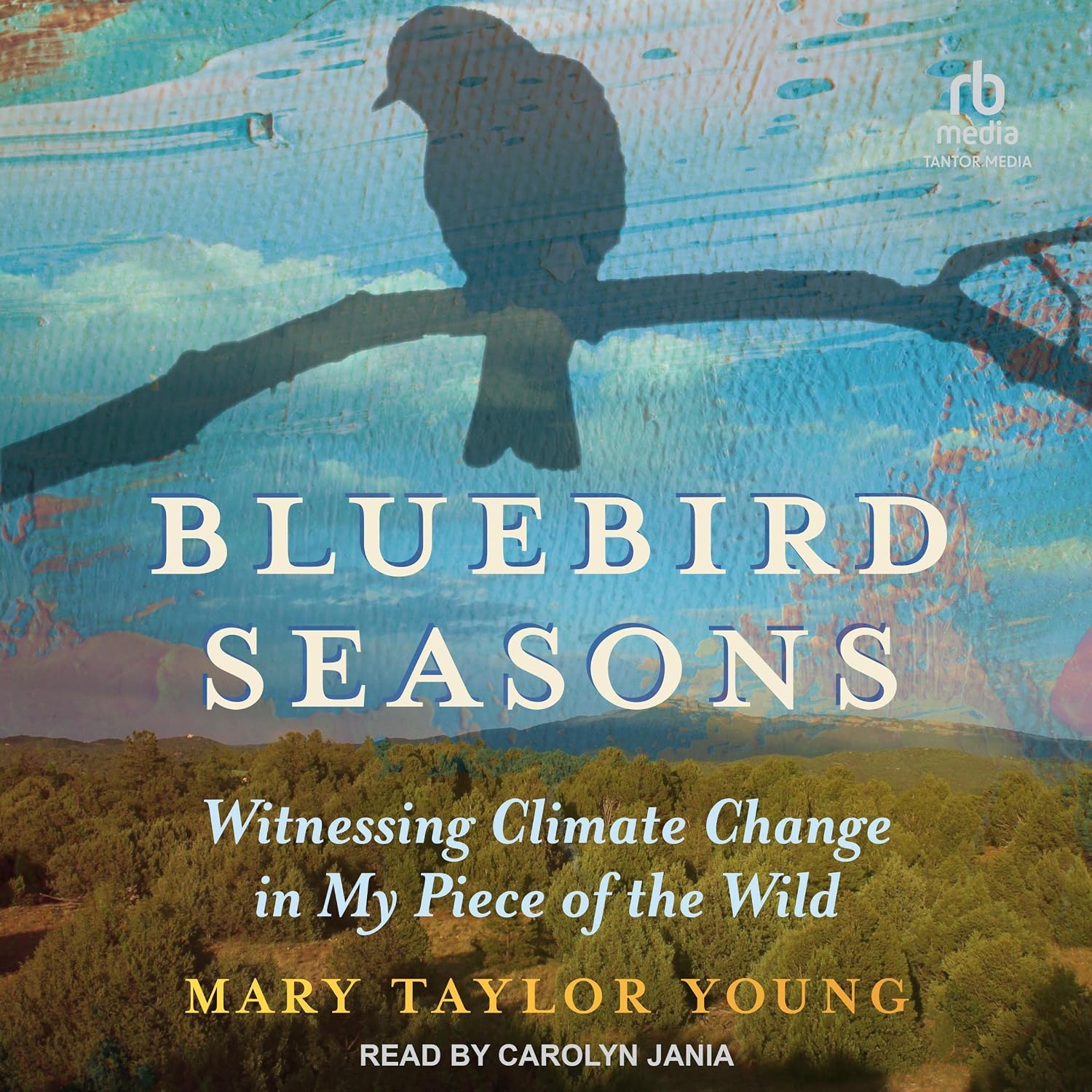 Amazon.com: Bluebird Seasons: Witnessing Climate Change in My Piece of ...