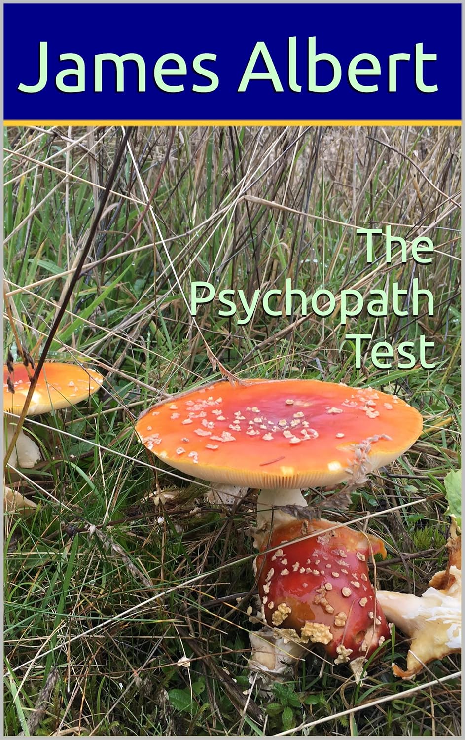 Amazon.com: The Psychopath Test (Short stories from the world around us ...