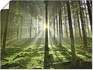 Amazon.de: ARTLAND Wanddeko Poster & Kunstdrucke Wandposter Wald Natur Sonne Sommer Landschaft ...