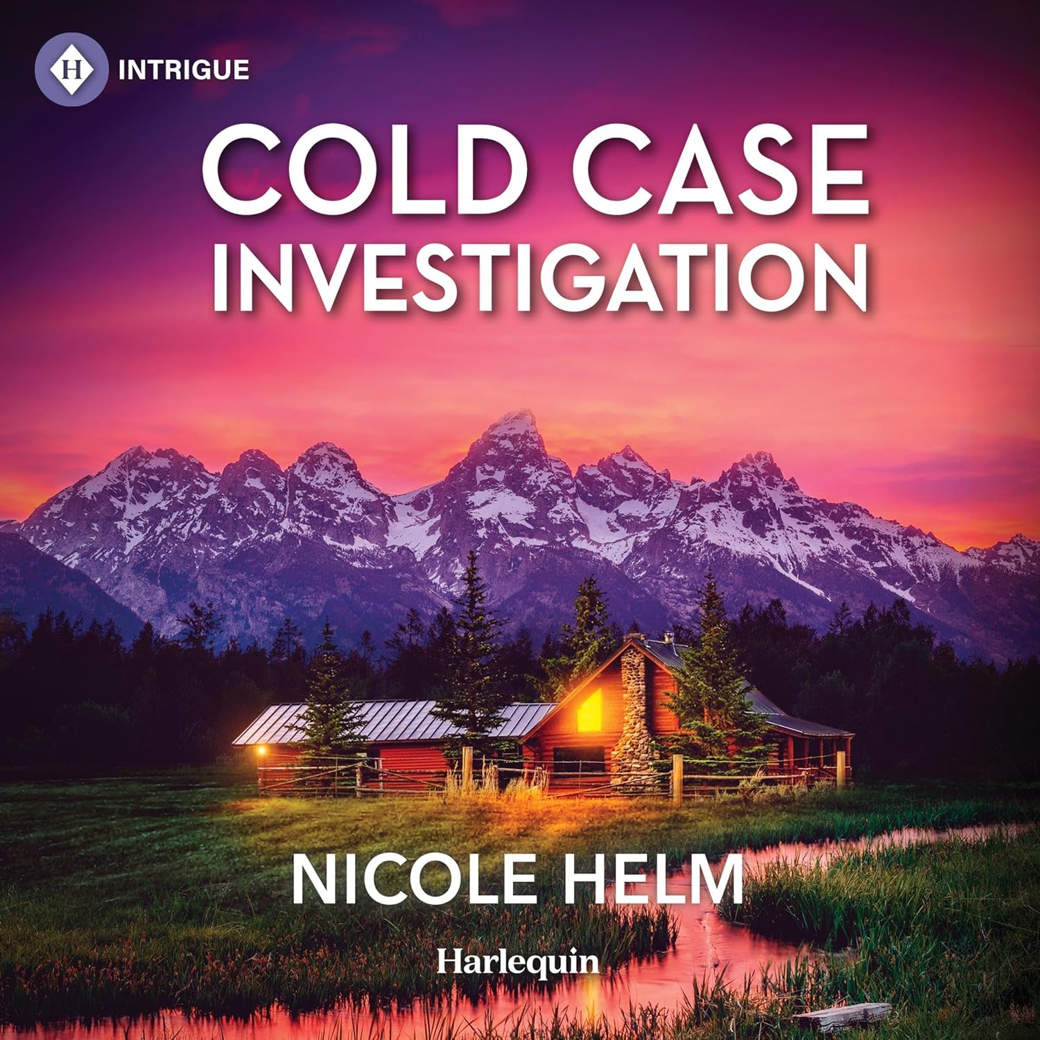 Amazon.com: Cold Case Investigation: Hudson Sibling Solutions, Book 3 ...