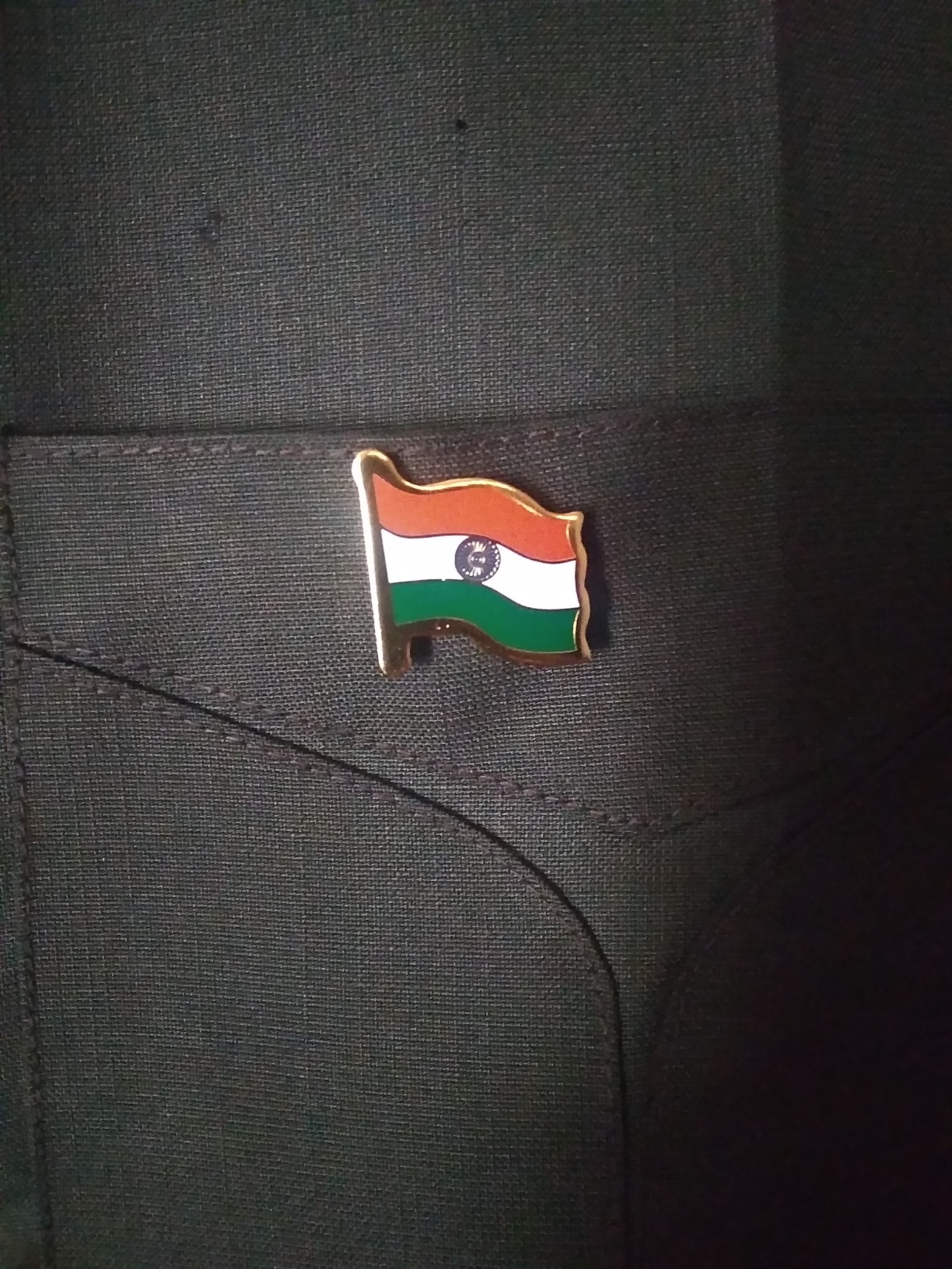 Buy The Flag Shop Indian Flag Gold-Plated Brass Lapel Pin/Brooch/Badge ...