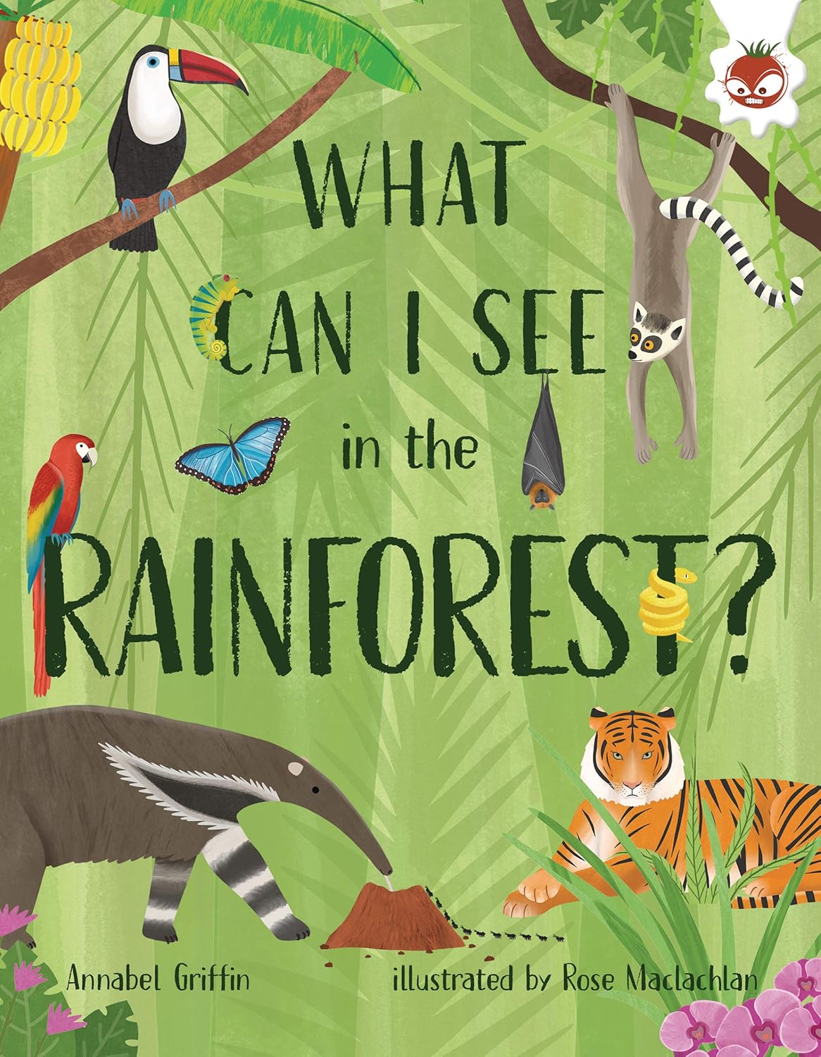 What Can I See in the Rainforest?: Griffin, Annabel, Maclachlan, Rose ...