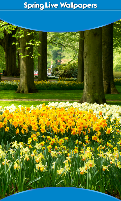Spring Live Wallpapers - App on Amazon Appstore