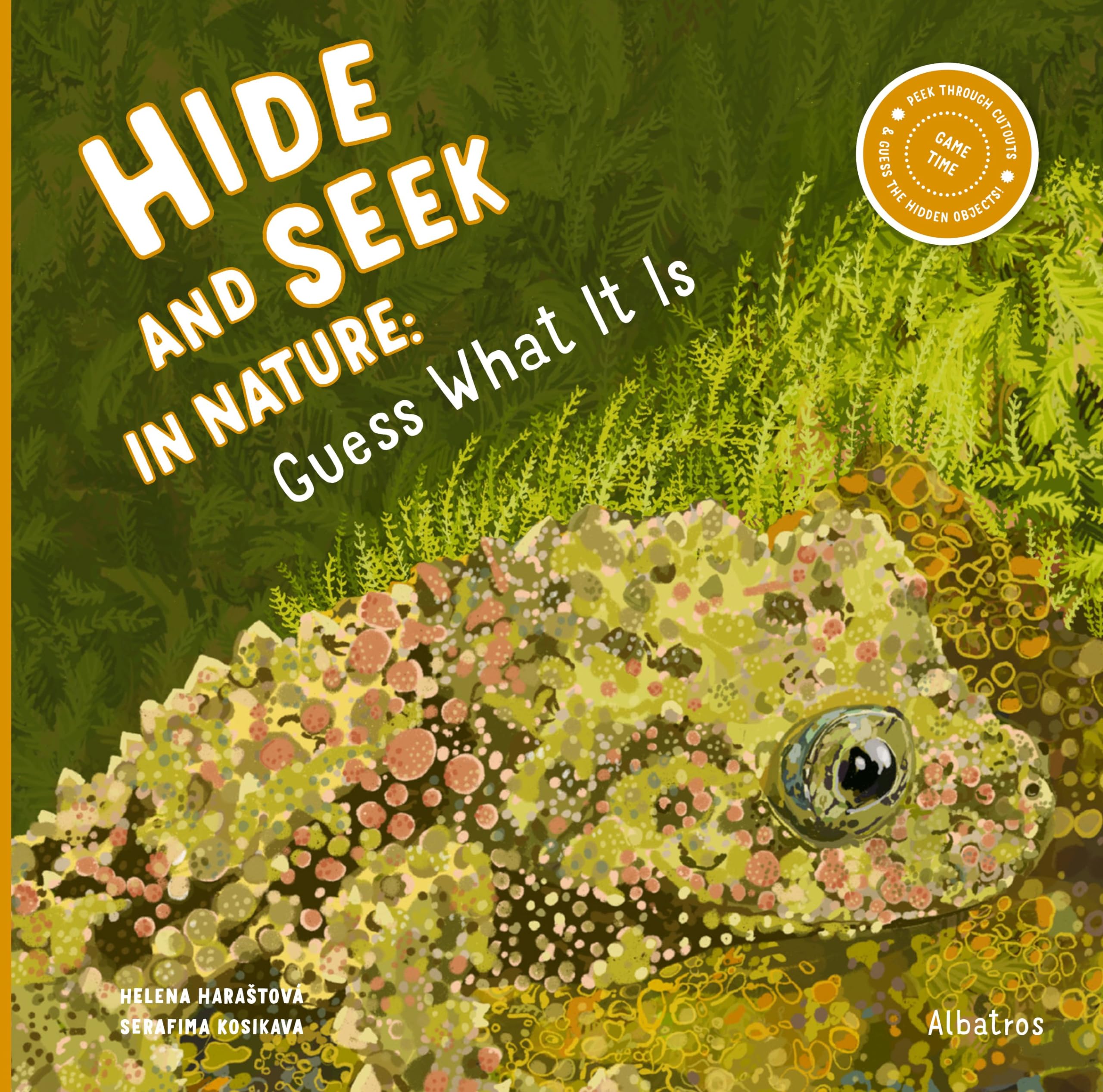 Amazon.com: Hide and Seek in Nature: Guess What It Is (Kidding Nature ...