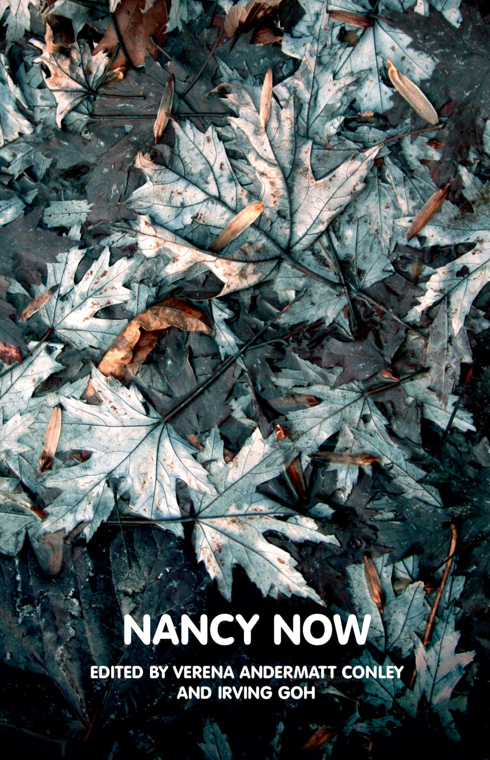 Nancy Now (Theory Now): Conley, Verena, Goh, Irving: 9780745661674 ...