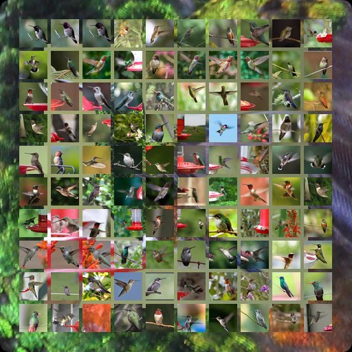 Hummingbird Wallpaper App - App on Amazon Appstore