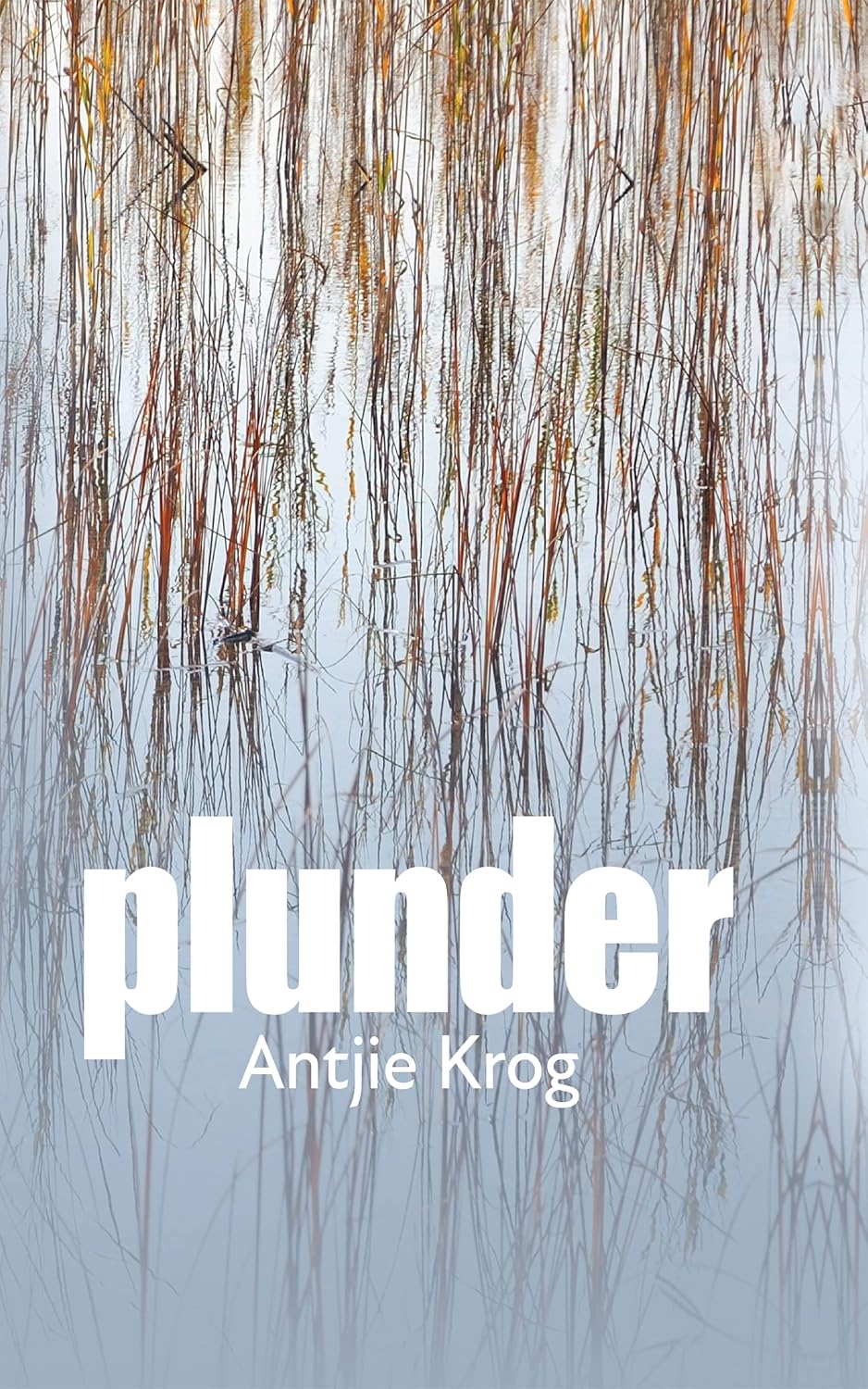 Amazon.com: Plunder (Afrikaans Edition) eBook : Krog, Antjie: Kindle Store