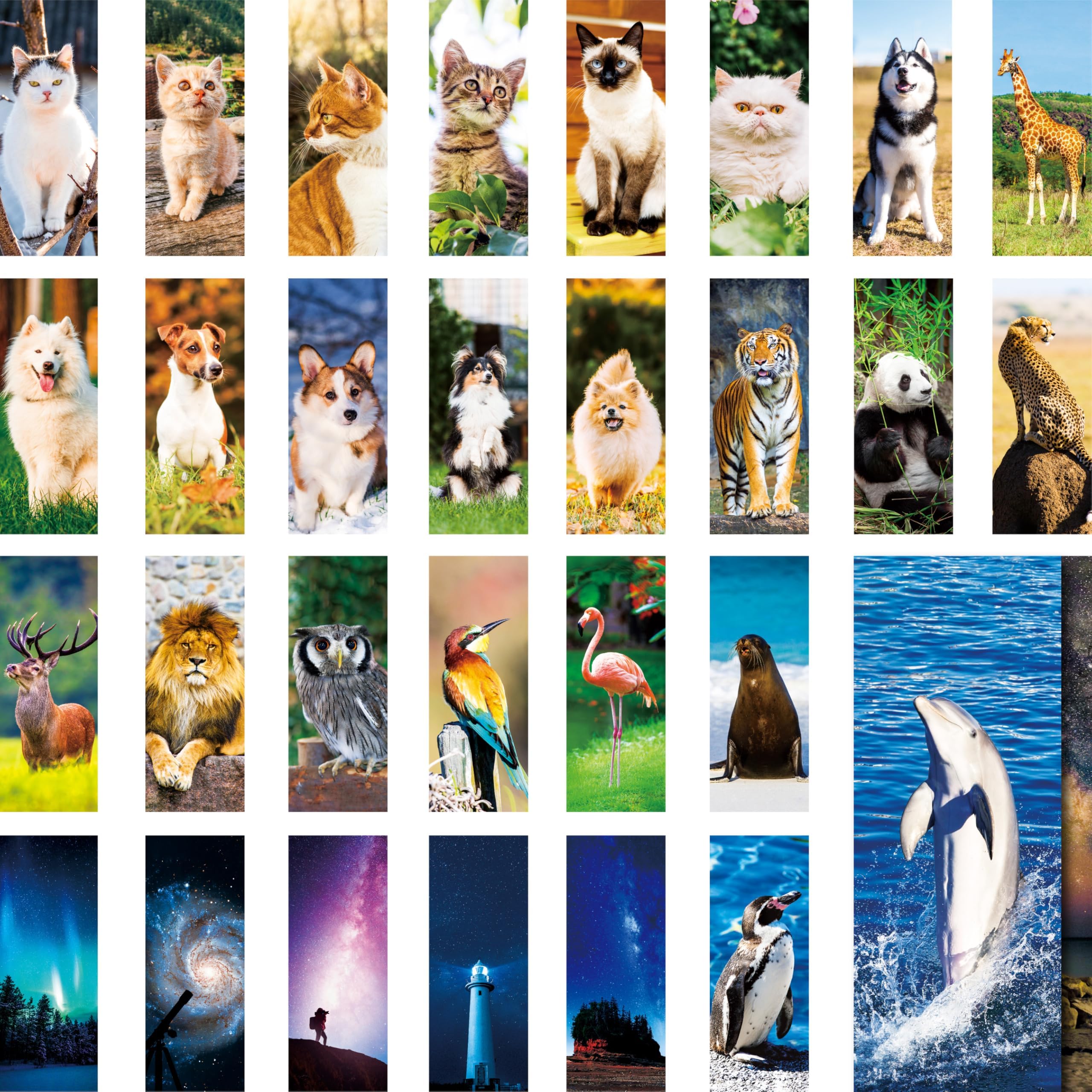 Amazon.com: 120 PCS Animal Bookmarks, 30 Designs Double-Sided Printing ...