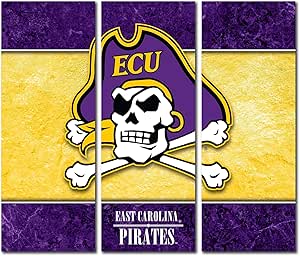 Amazon.com : Victory Tailgate East Carolina University ECU Pirates ...