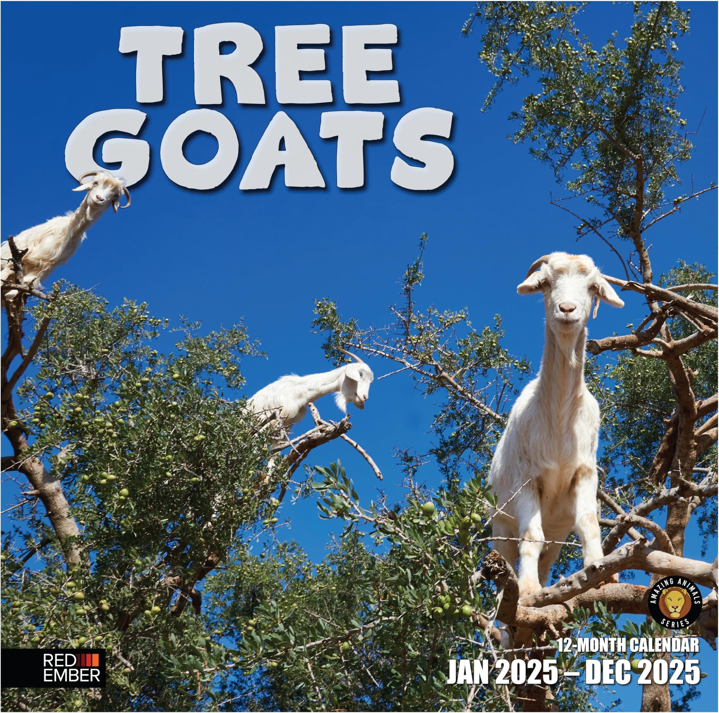 Amazon.com: RED EMBER Outhouses 2025 Wall Calendar 12 Month | 12" x 24 ...