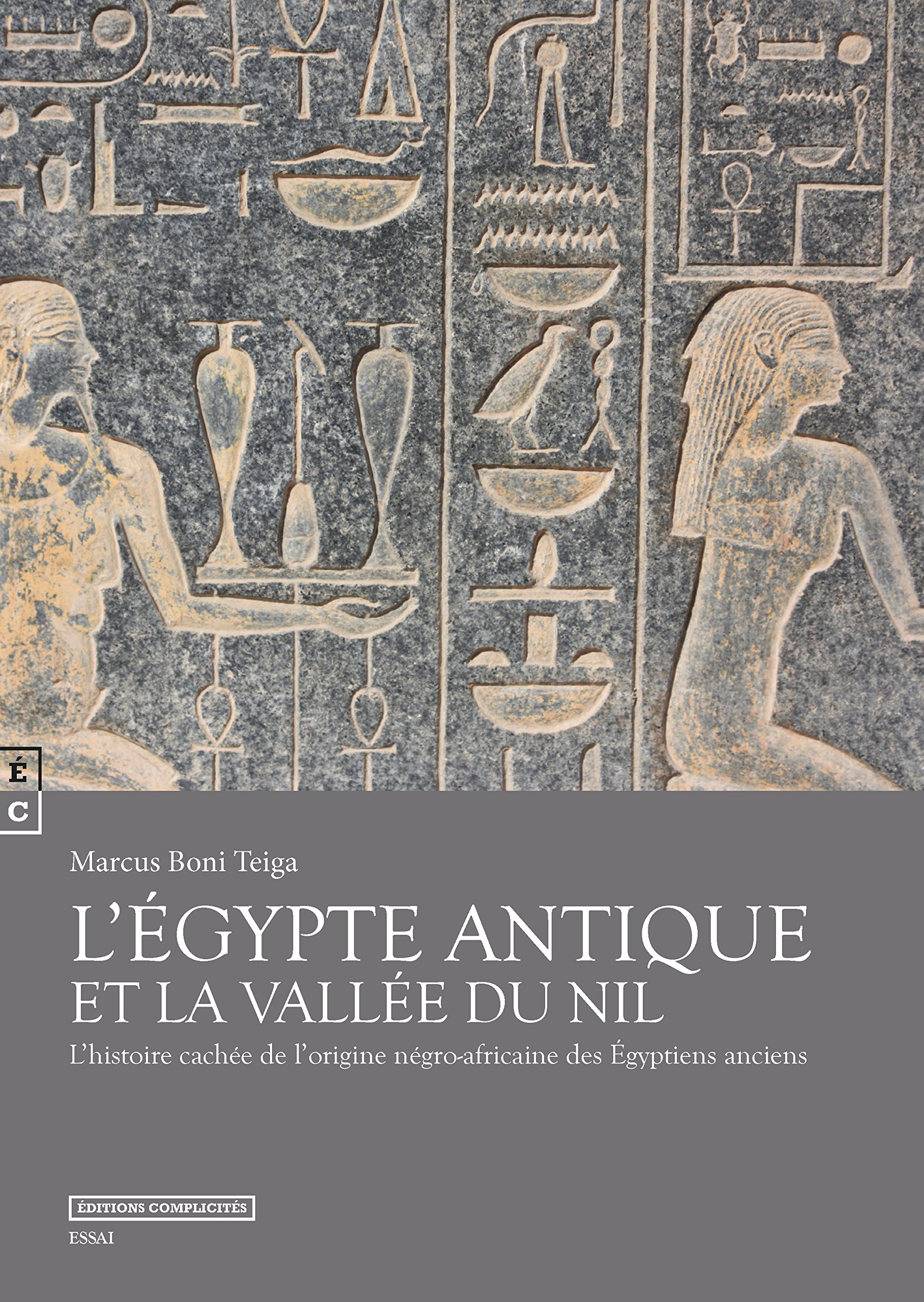 Buy L'Égypte antique et la vallée du Nil - l'histoire cachée de l ...