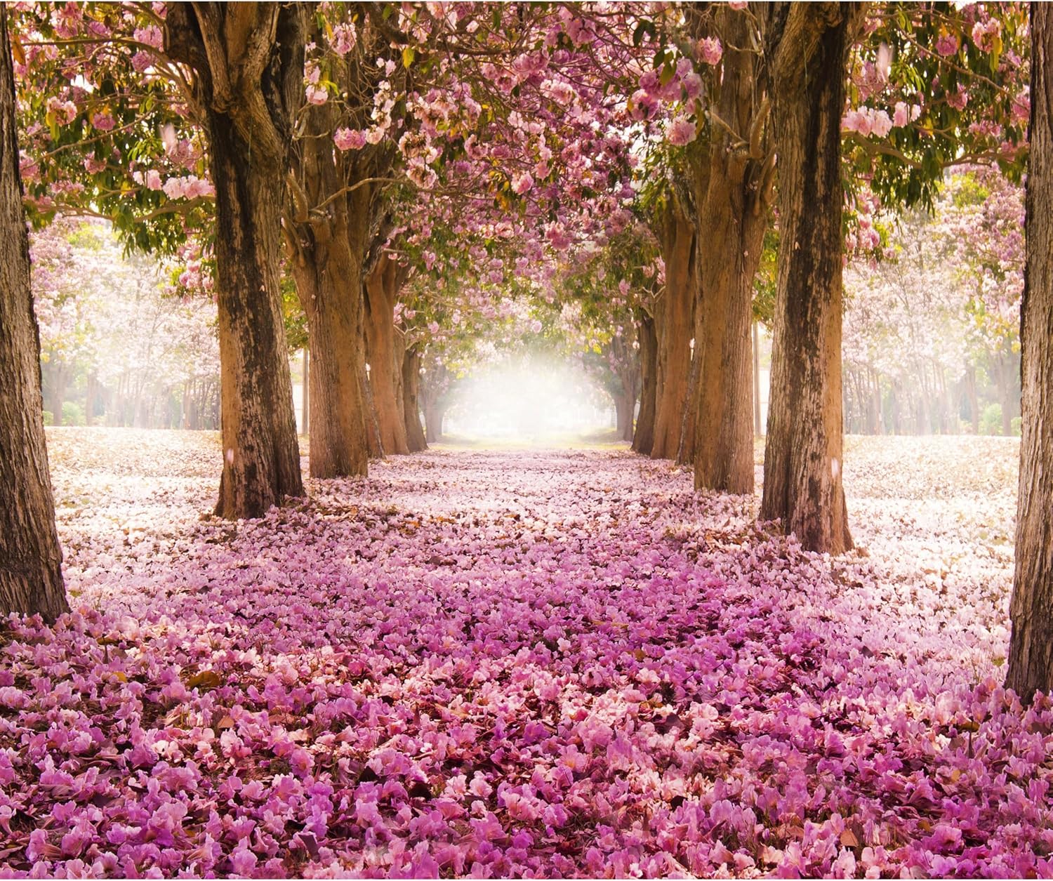 decomonkey | Adhesive Wallpaper with Allee Flowers 147 x 105 cm Wall ...