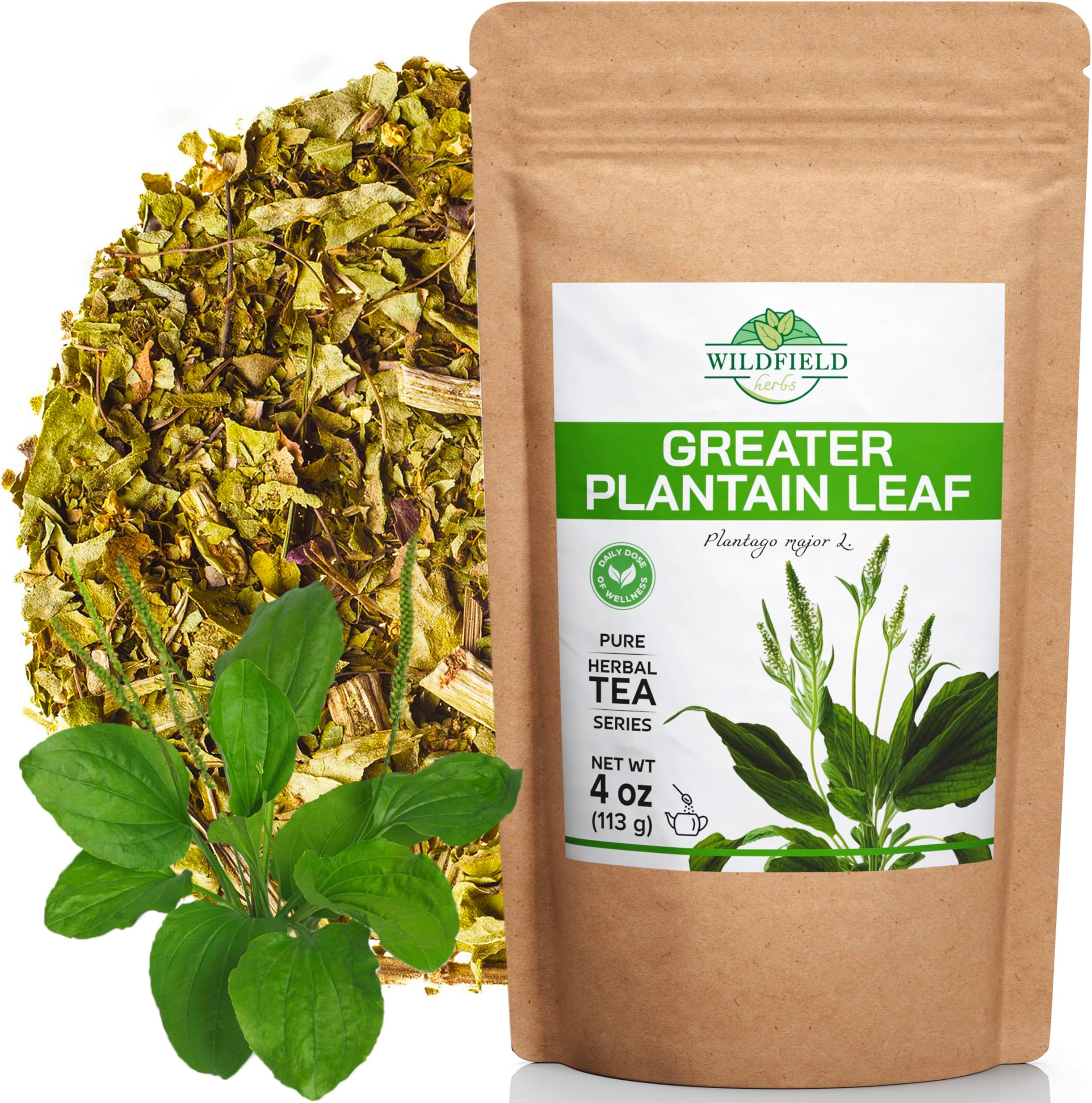 Amazon.com : 4 oz. Plantain Leaf Herb Tea Dried Plaintains (Plantago ...