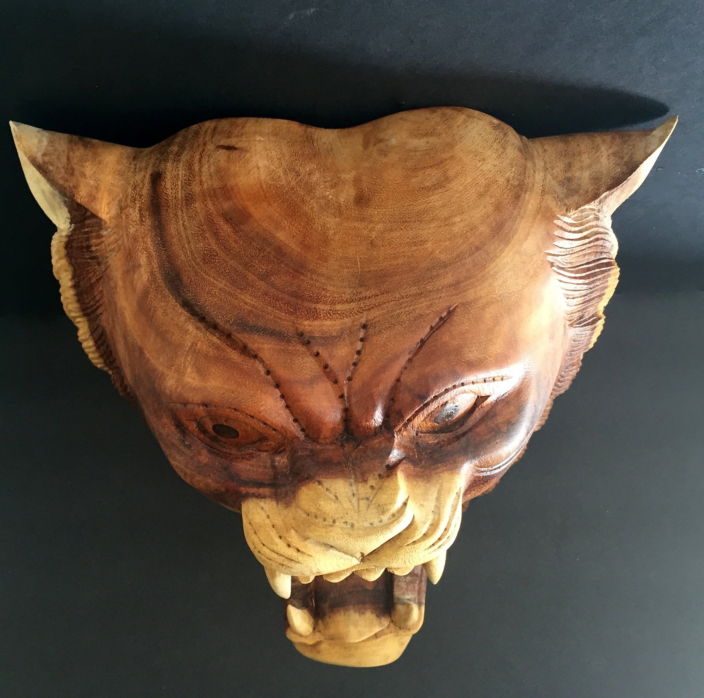 Lion Mask African