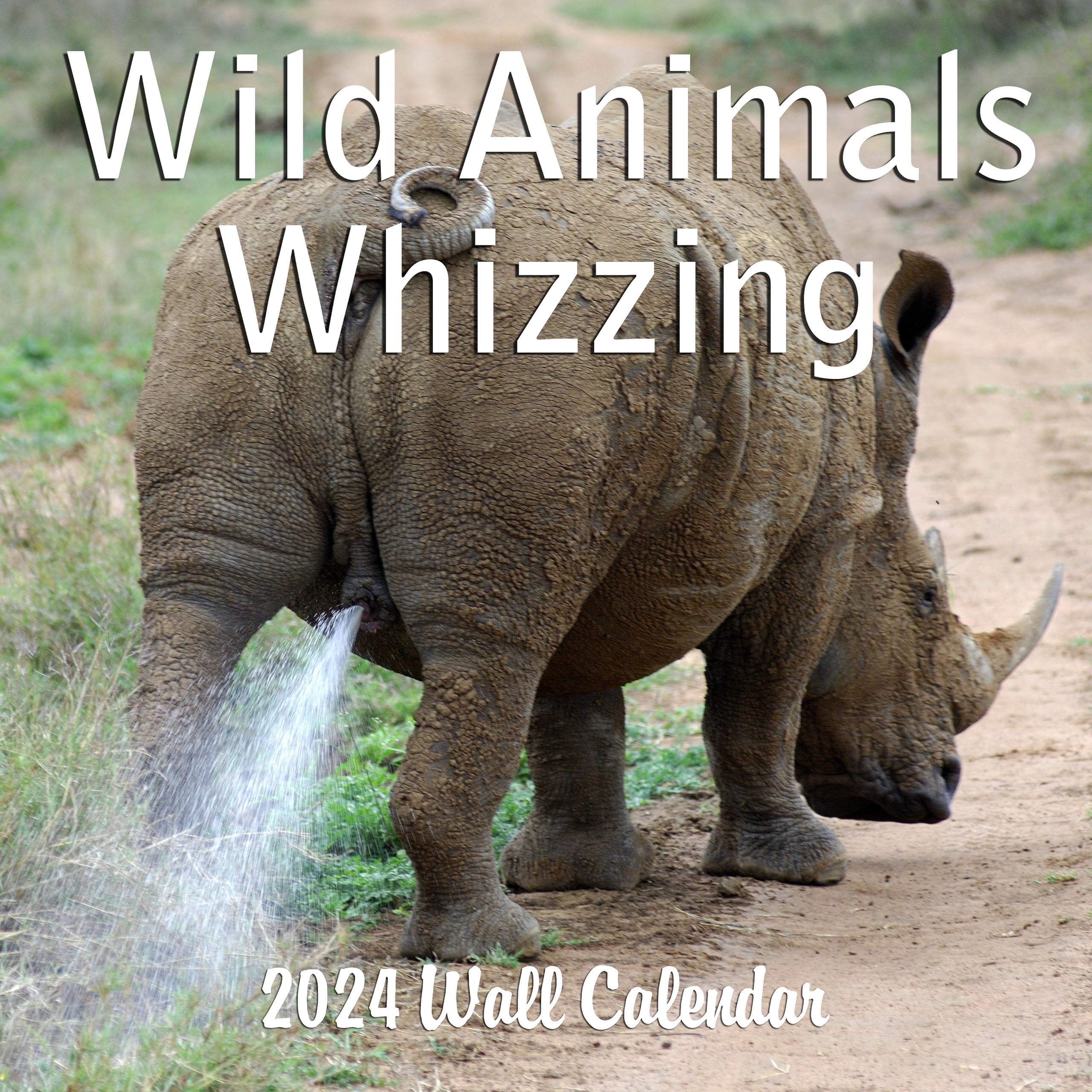 Amazon.com: 2024 Wild Animals Monthly Wall Calendar Wild Animals ...