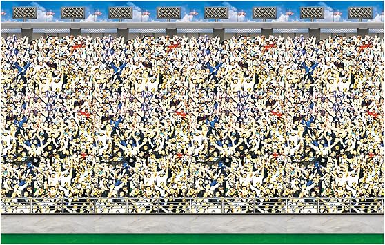 Amazon.com : 3 Pack Plastic Deck Stadium Photography Backdrop ...