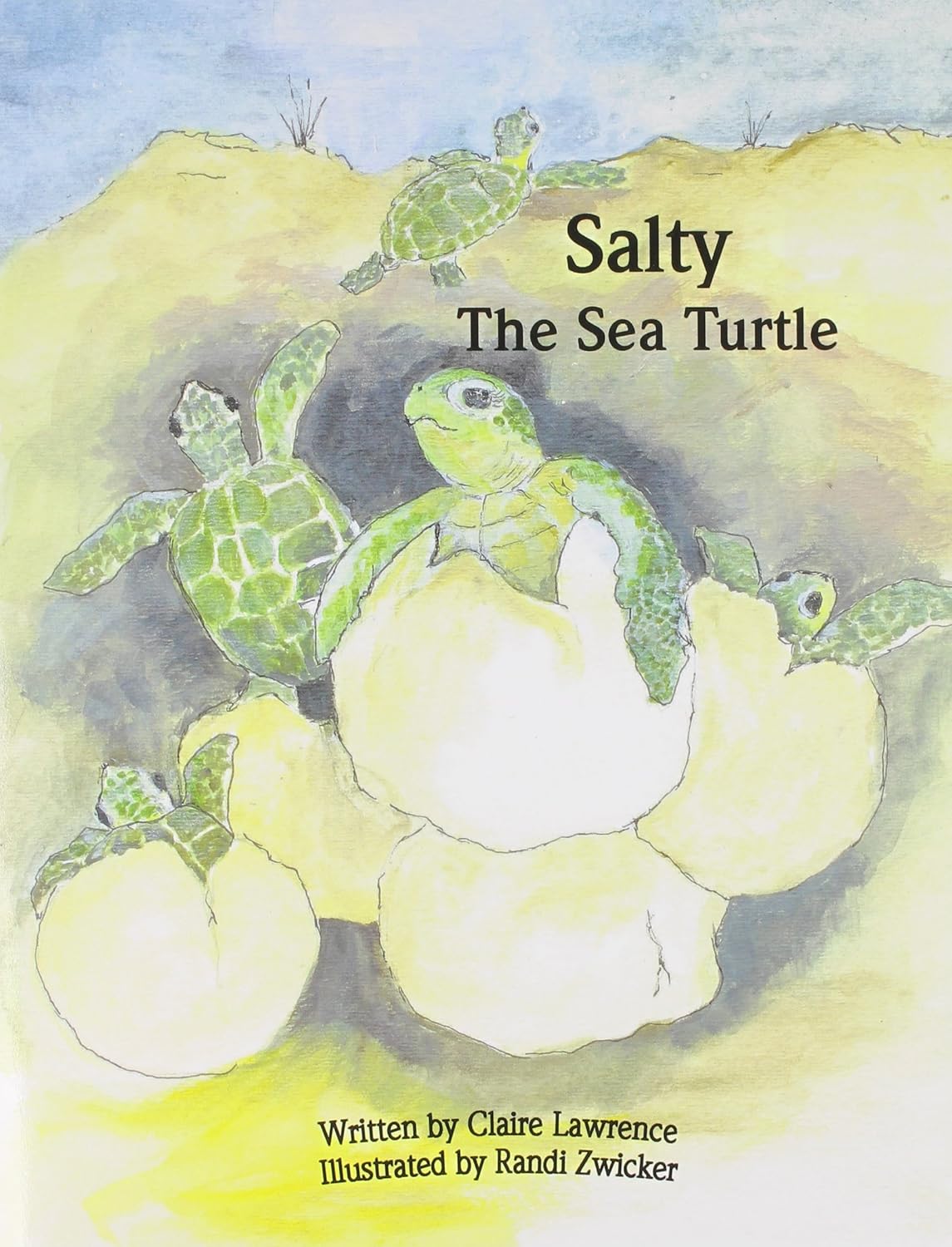 Salty the Sea Turtle: Lawrence, Claire, Zwicker, Randi: 9781457533044 ...