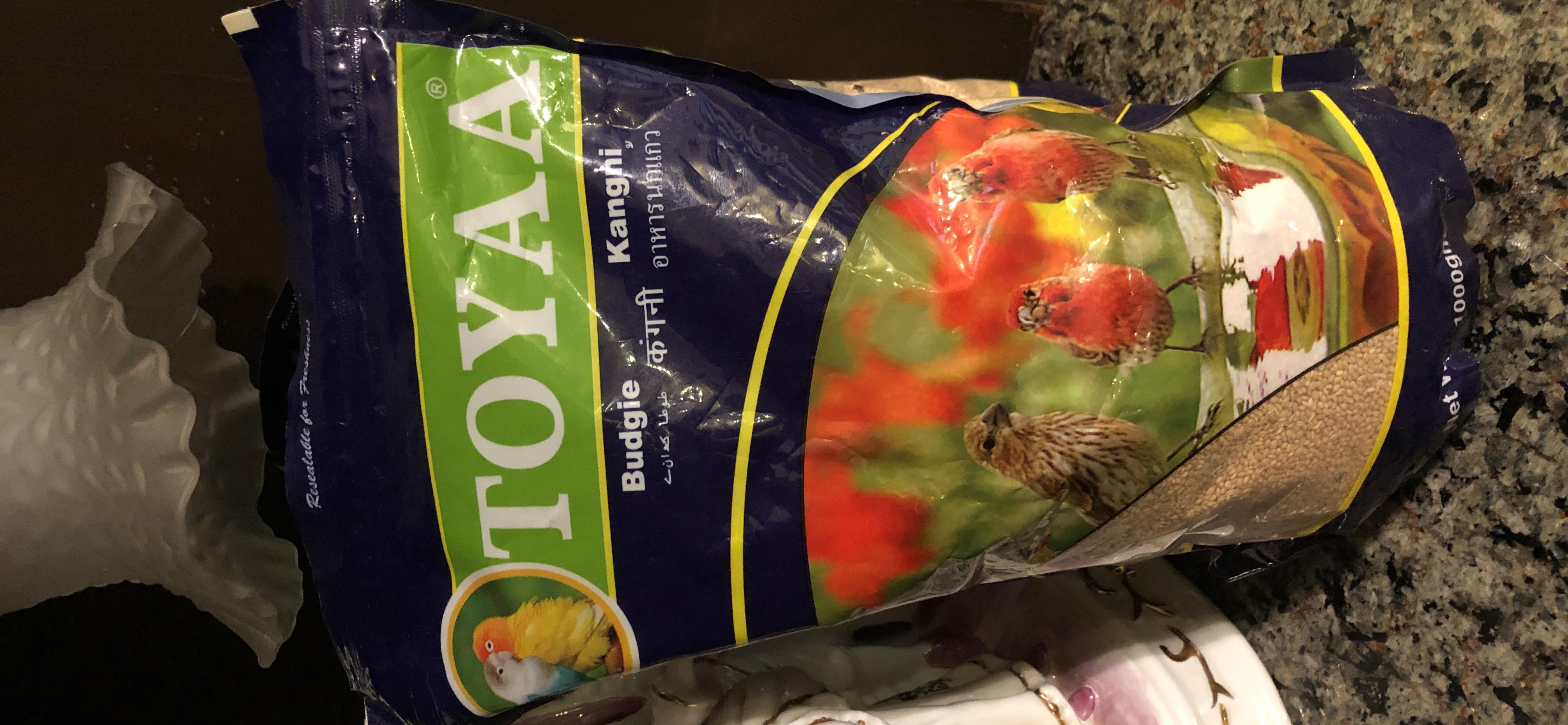 Pawwfect® Toya Budgie Bird Food - 1000Gm (Kangni) : Amazon.in: Pet Supplies
