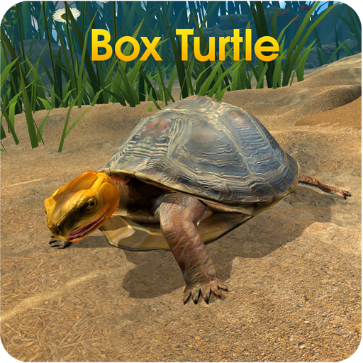 Box Turtle Simulator - App on the Amazon Appstore