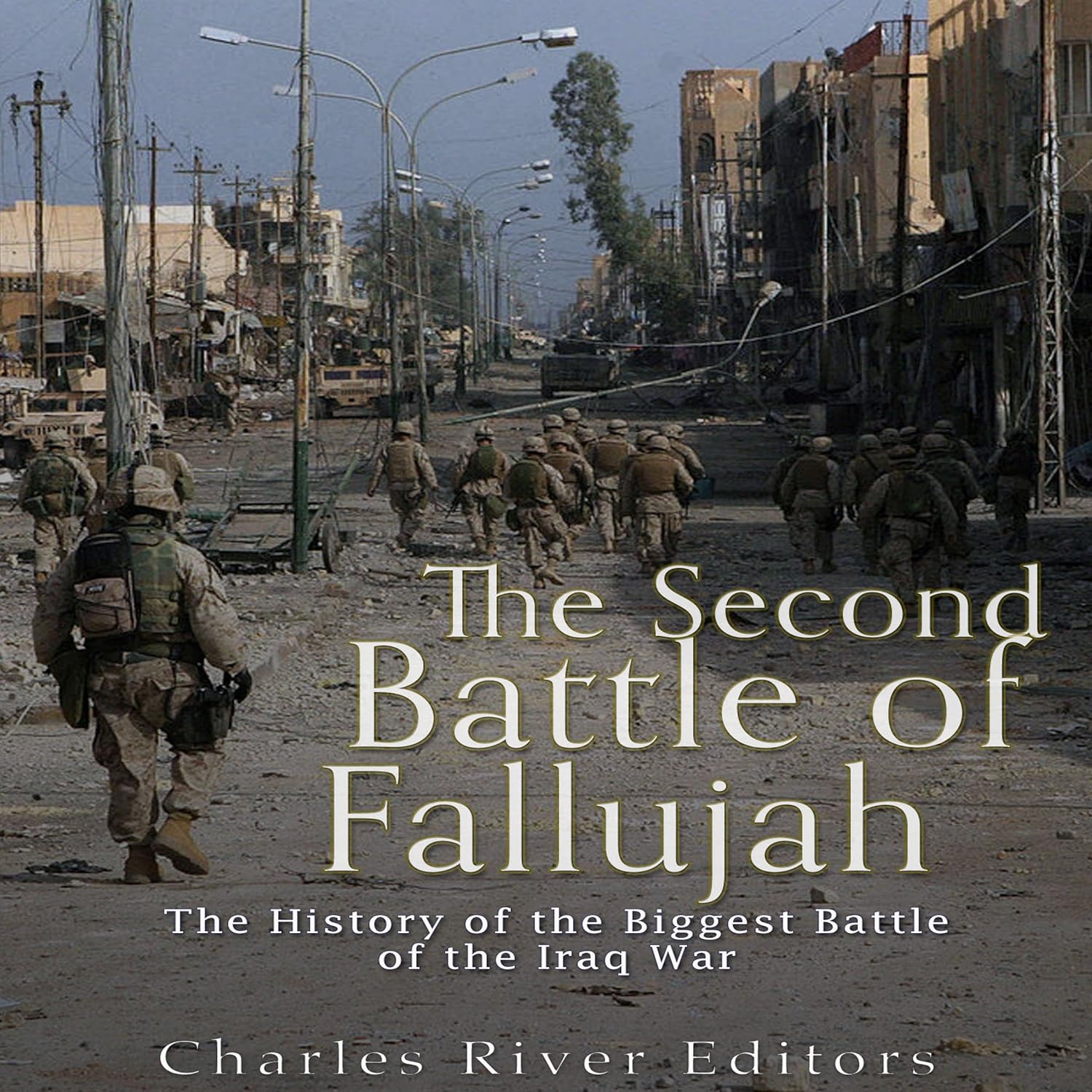 Amazon.com: The Second Battle of Fallujah: The History of the Biggest ...