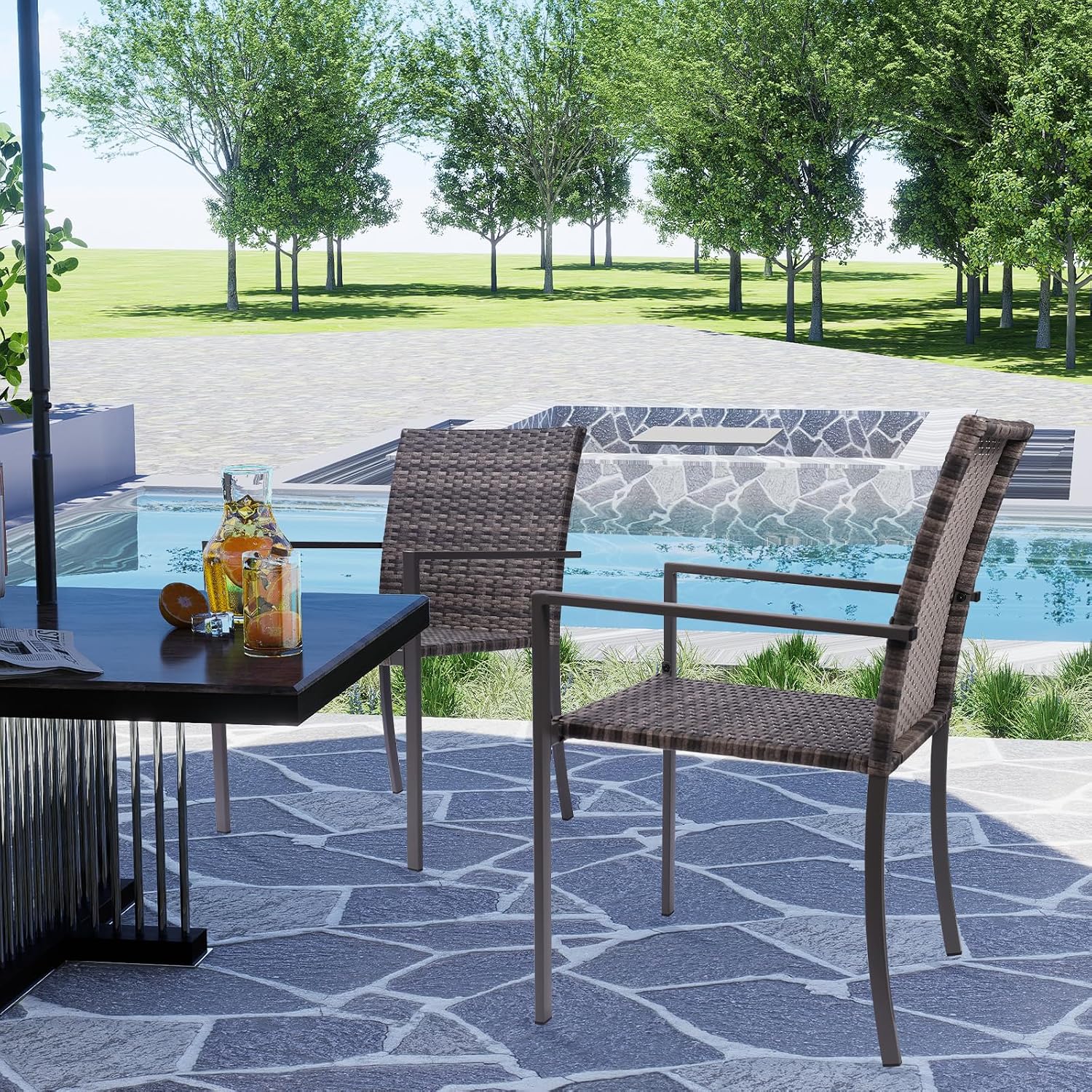 Amazon.com: MSENTLY Elegant Patio Dining Chairs Outdoor Set of 2 ...