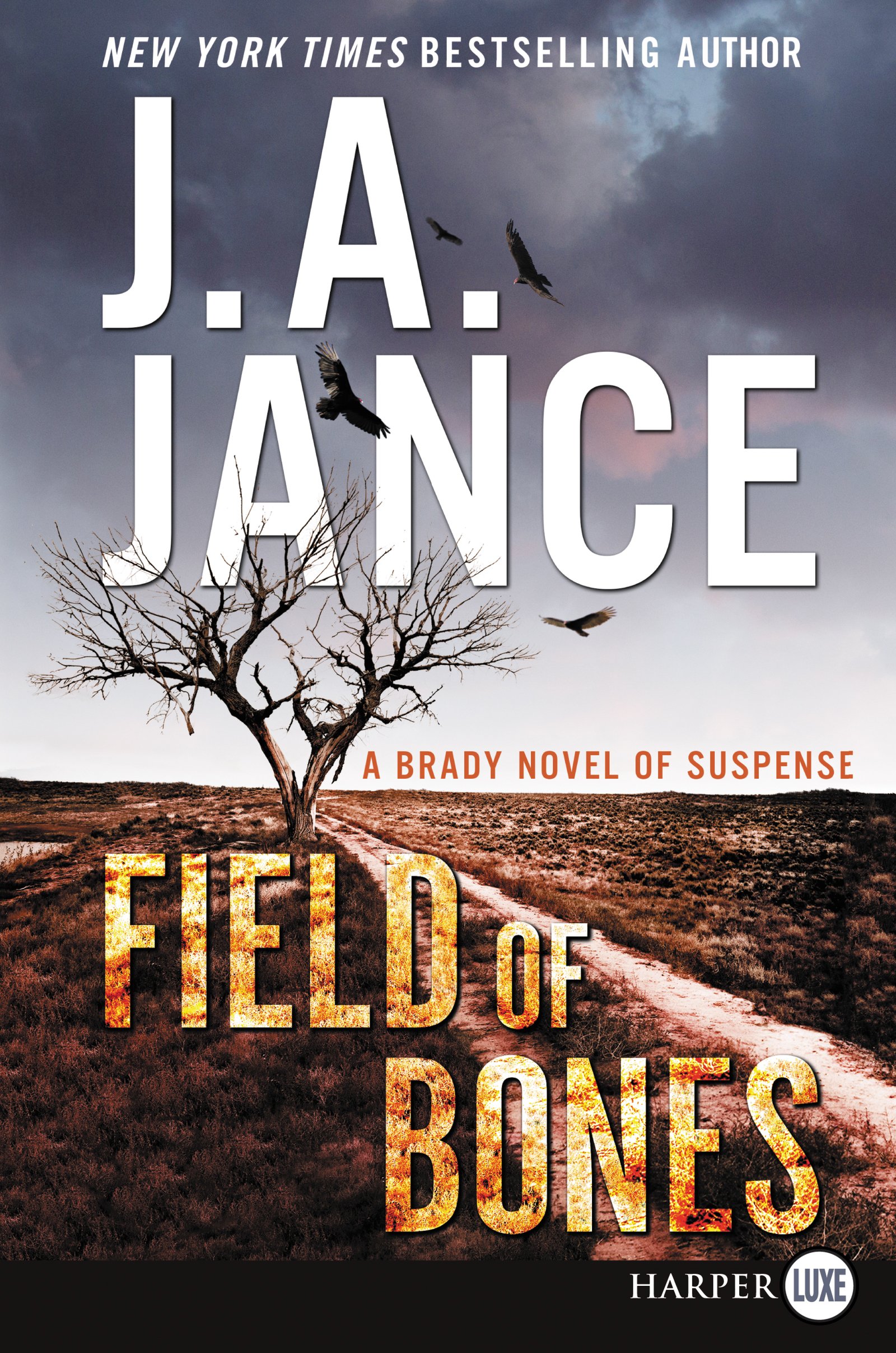 Amazon.com: Field of Bones: A Brady Novel of Suspense (Joanna Brady, 17 ...