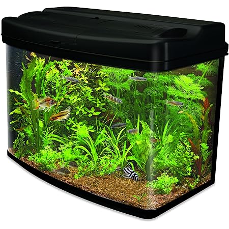 Interpet Fish Pod Moon Glass Aquarium Fish Tank - 39 Litre: Amazon.co ...