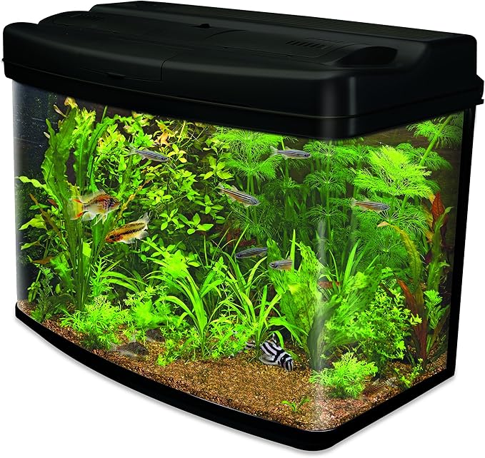 Interpet Fish Pod Glass Aquarium Fish Tank, 64L, with Bright White ...