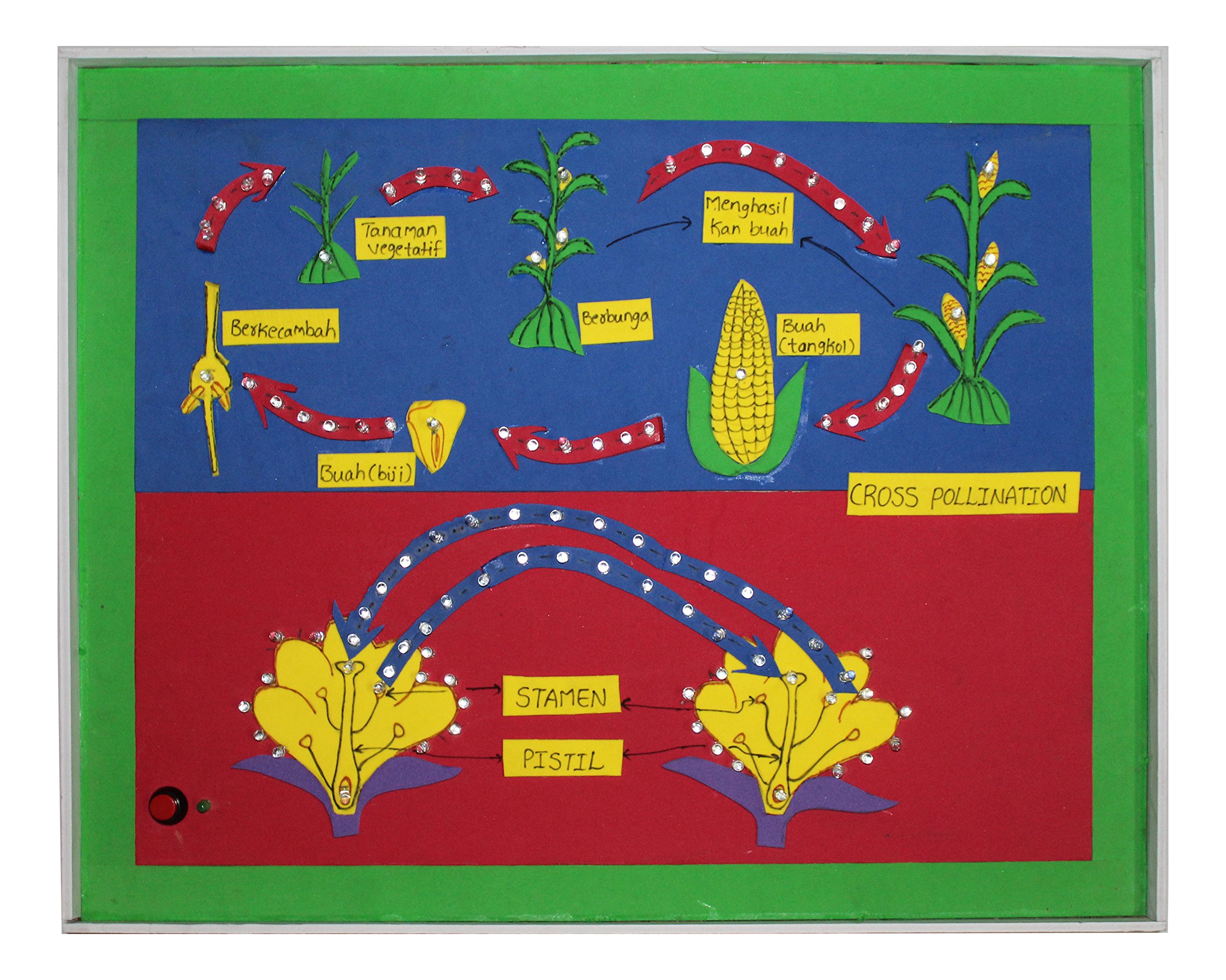 Cross Pollination Of Ideas