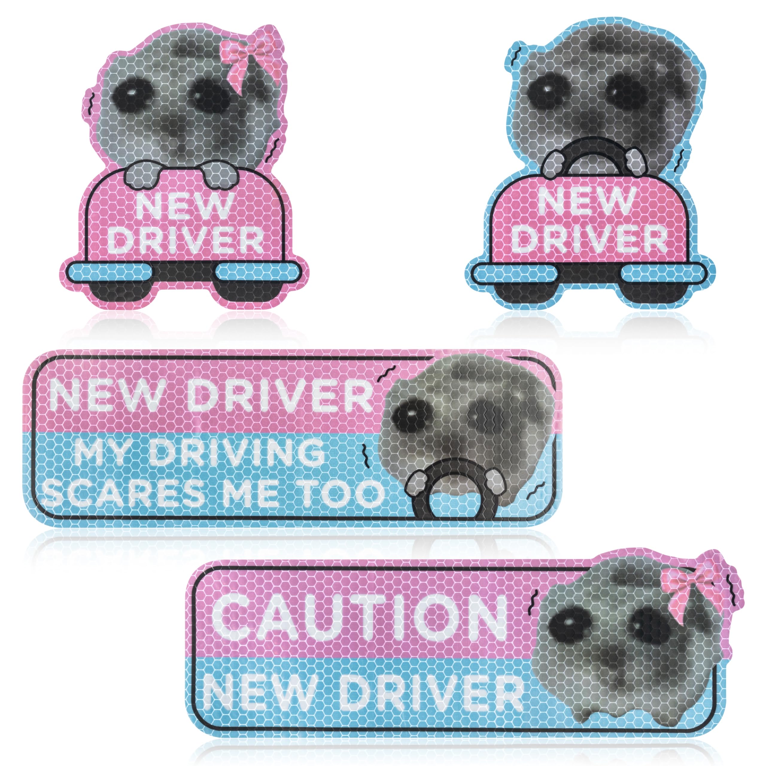 Amazon.com: CNhoqc New Driver Car Magnets - 4pcs Shivering Hamster ...