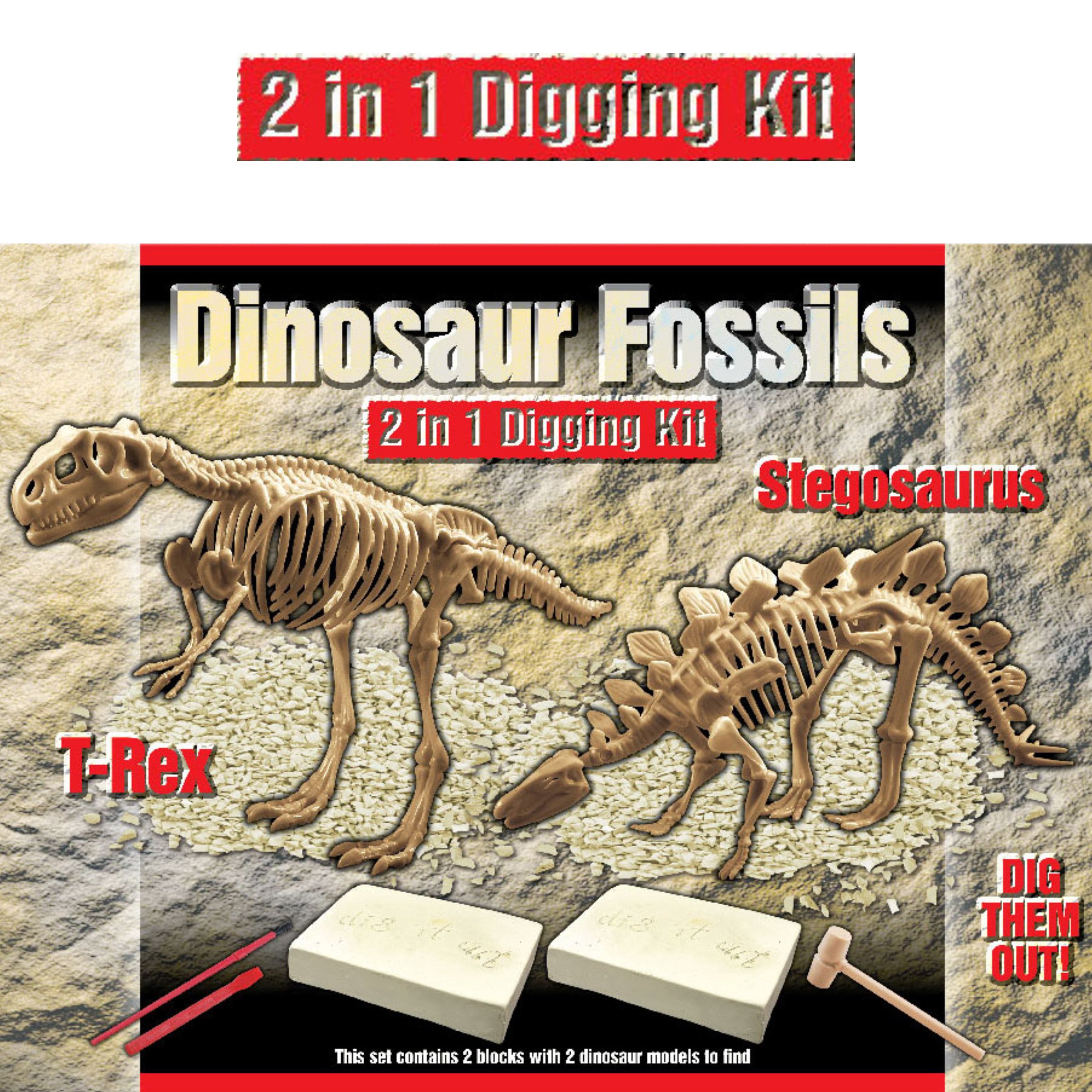 Dinosaur Bone Excavation Site