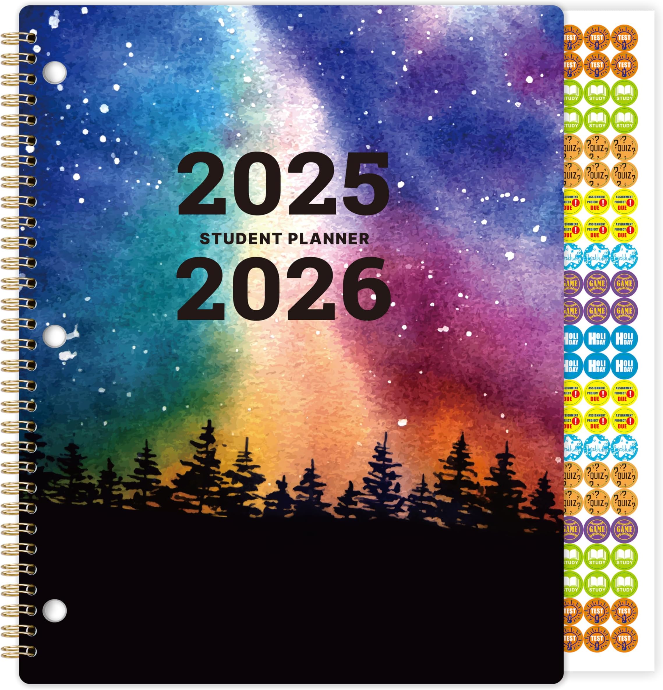 Amazon.com : Student Planner 2025-2026 - July 2025 - June 2026, 9'' x ...